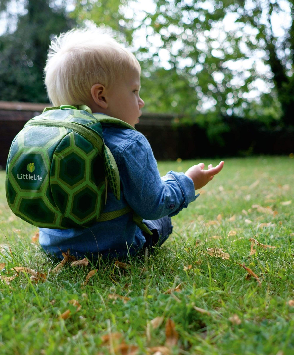LittleLife Toddler Backpack New Turtle | Travel – Mamas & Papas UK